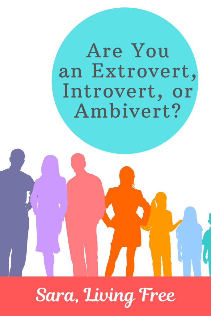Self-Care: Are You an Extrovert, Introvert, or Ambivert? – Sara, Living ...